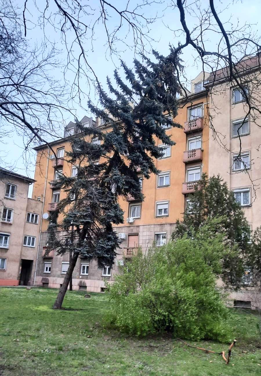 Szélvihar, fakidőlések Dunaújvárosban | Dunaújváros Online