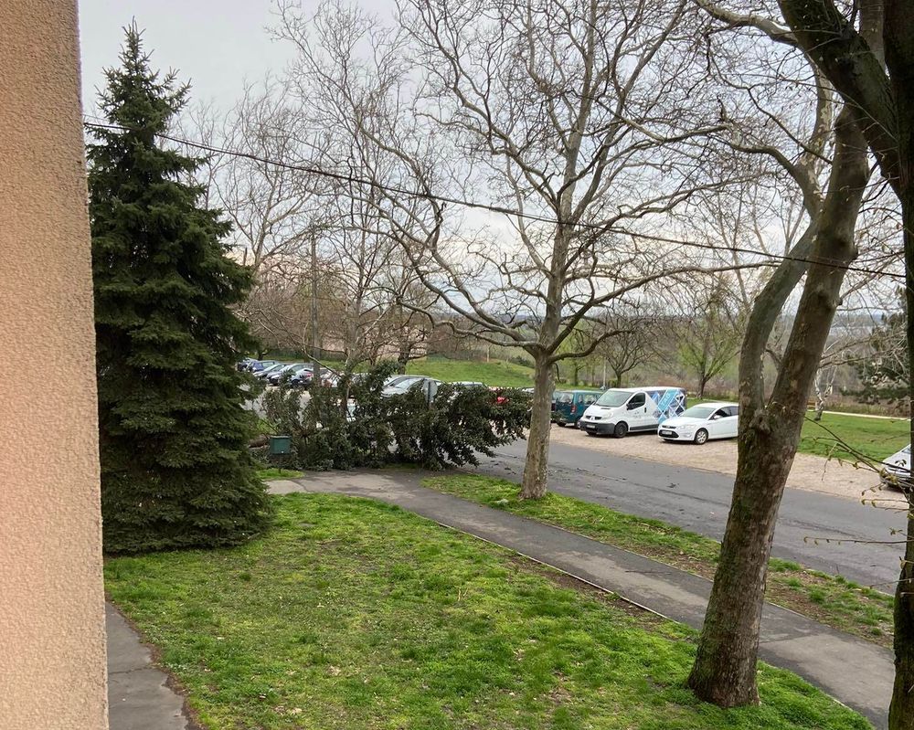 Szélvihar, fakidőlések Dunaújvárosban | Dunaújváros Online