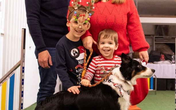 Év végi számvetés a Duna Dog Centernél | Dunaújváros Online